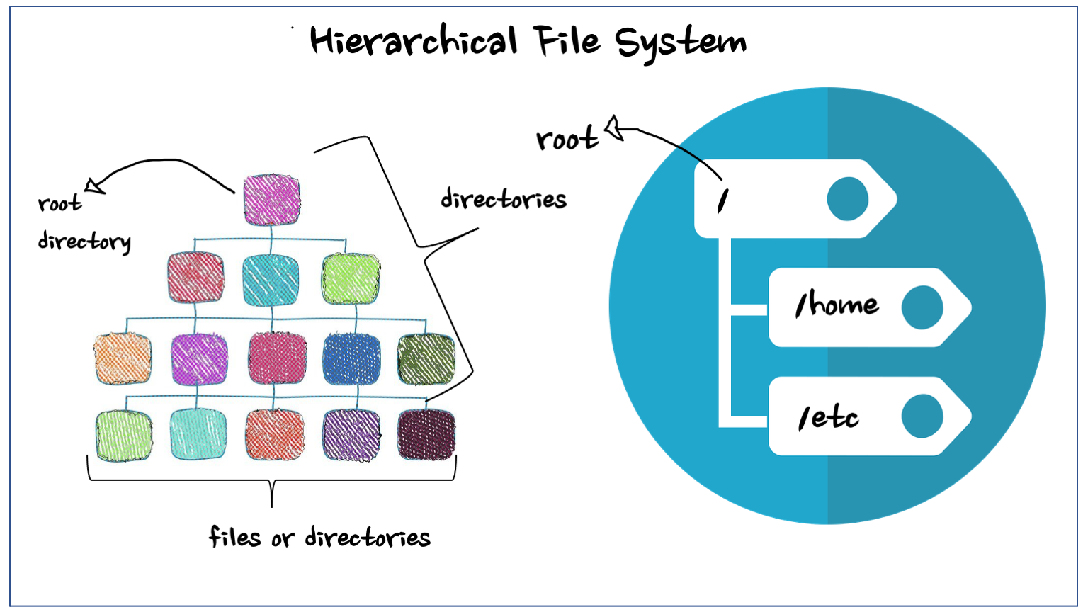 1.3: File System: Basics :: My New Hugo Site